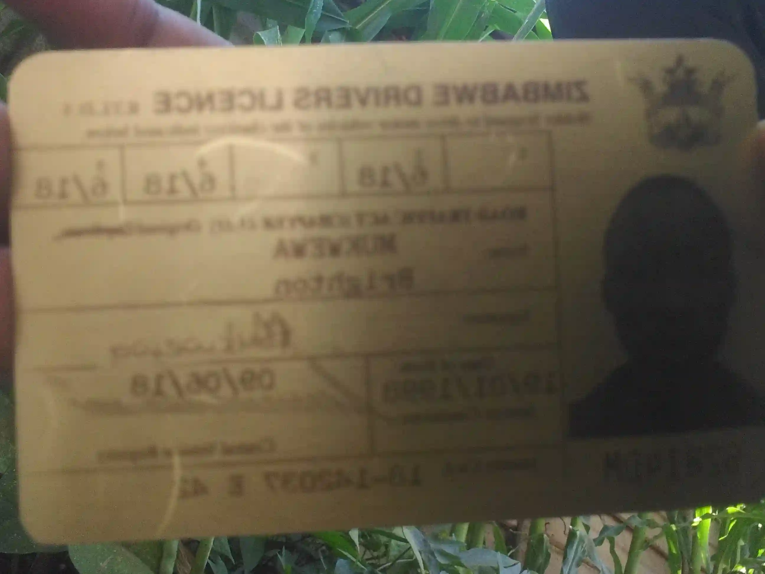 Class 2 driver - Zimbabwe