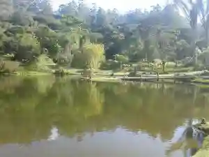 5 Reasons Why You Should Vacation In Vumba During The Heroes Break