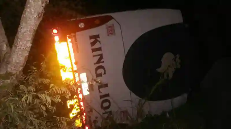 President Mugabe declares King Lion bus accident a national disaster